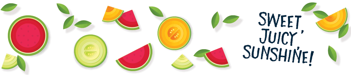 Select Melons Australia - Fresh Aussie Melons - SMA Marketing